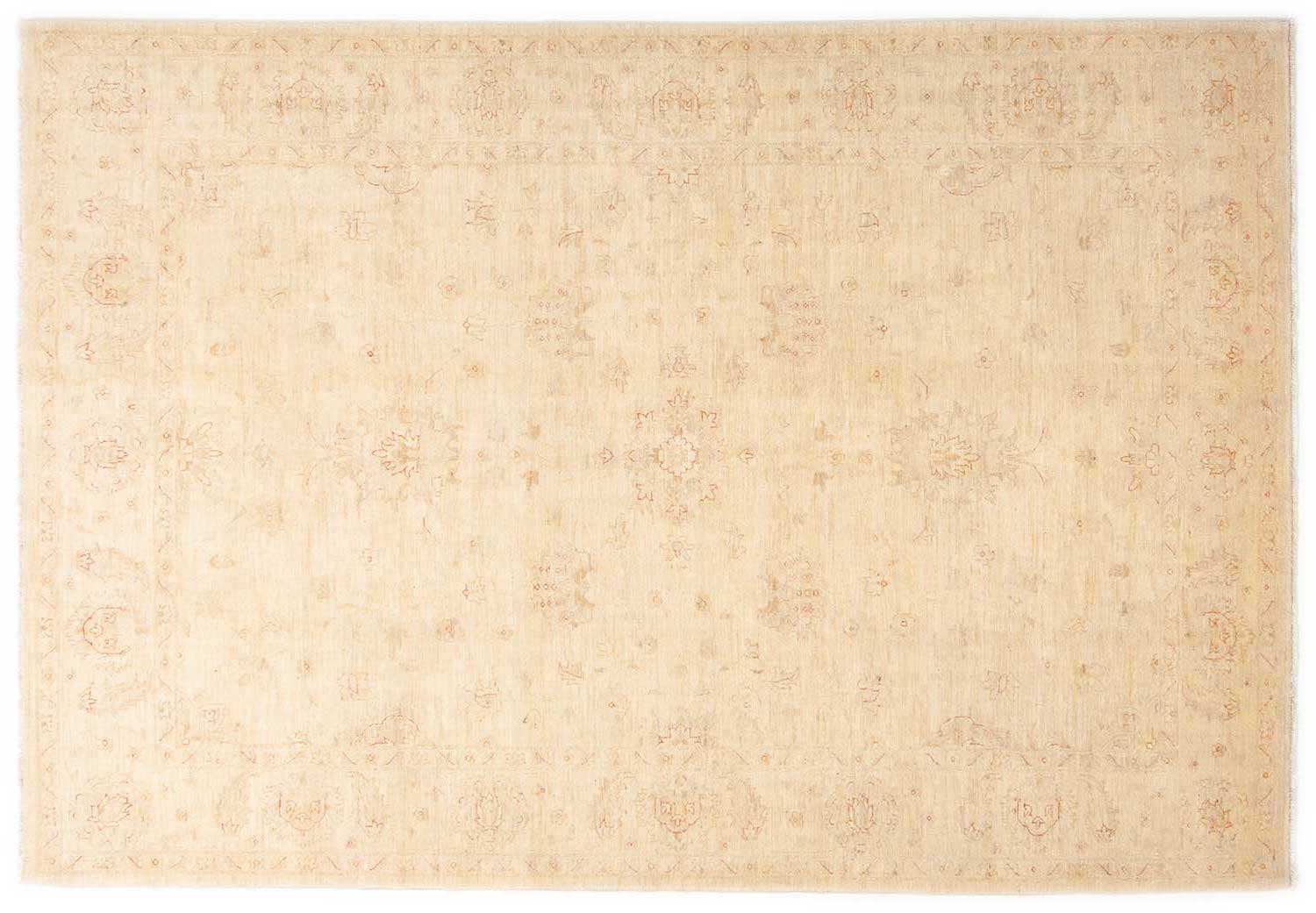 Teppich Creme jetzt online sichern | BeyondKnots